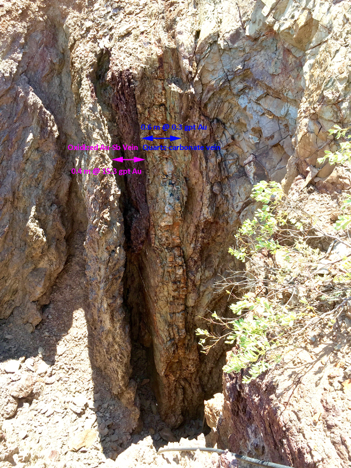 Sampling Returns High Grades at Novo Resources Blue Spec Gold-Antimony ...