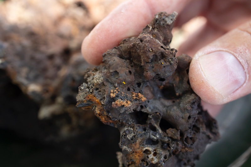 ESGold Confirms the Presence of Gold in the Sediments at the Ottawa ...